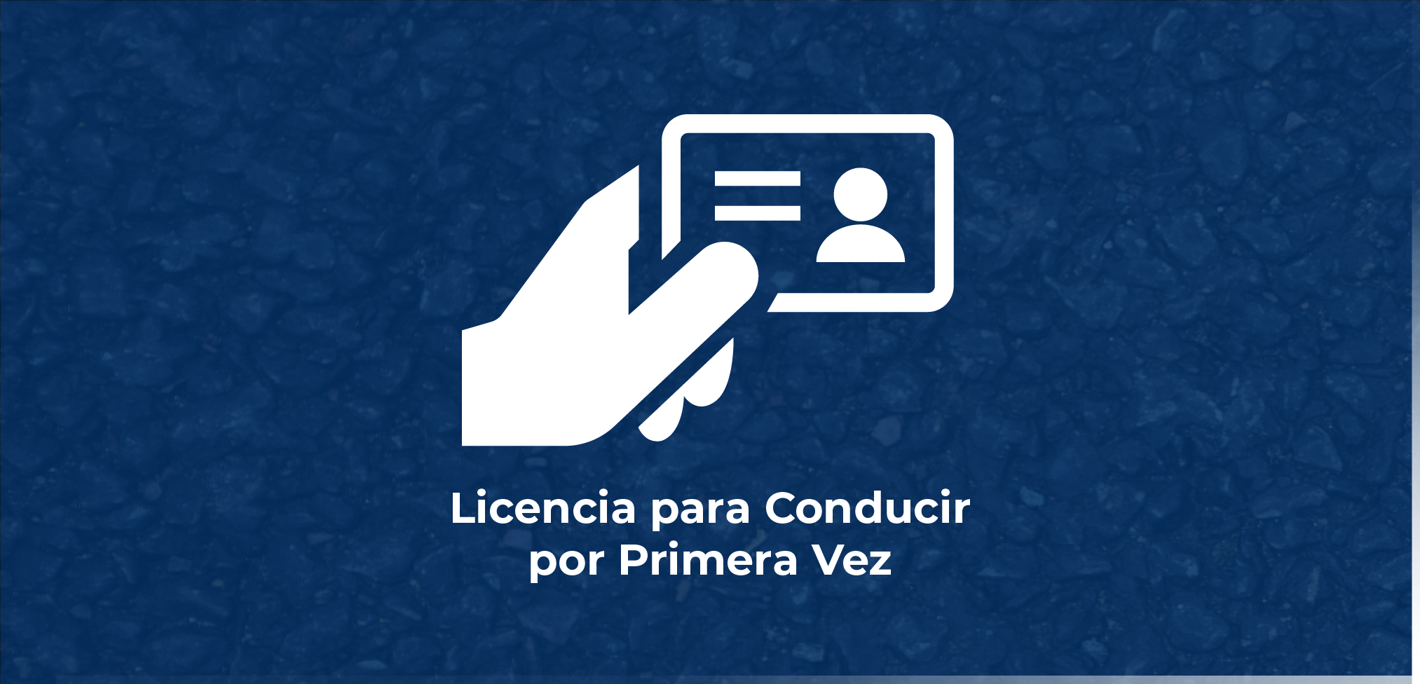 Instituto Nacional de Transporte Terrestre (INTT) | BIENVENIDO