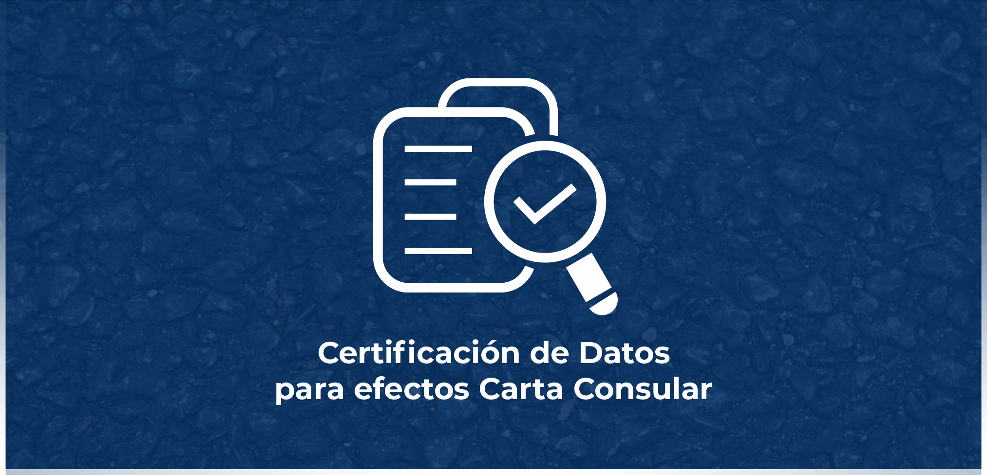 Instituto Nacional de Transporte Terrestre (INTT) | BIENVENIDO